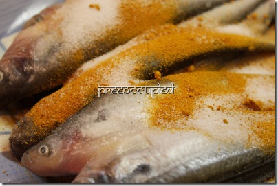 PreeOccupied: How Pabda Got Discussed, Got Cooked, and Got a Life